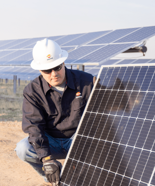 Solar park: what it is and how it works