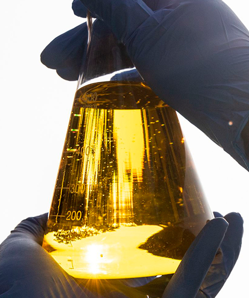 ¿Qué es el bioetanol y para qué sirve? | Repsol