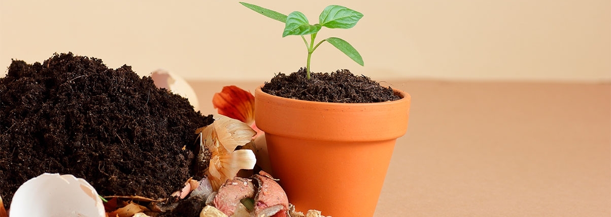 Residuos orgánicos: ¿Qué son y por qué hay que tratarlos?